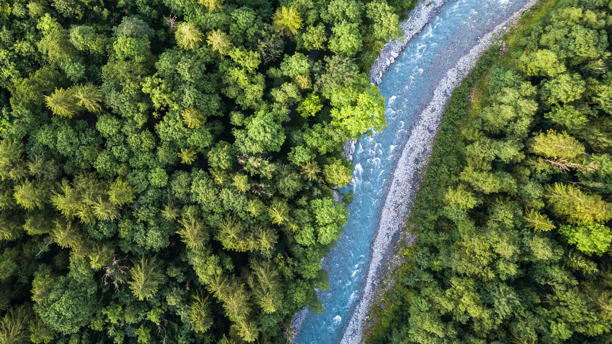 Cicor Group | Annual Report 2023 | Annual Report 2023