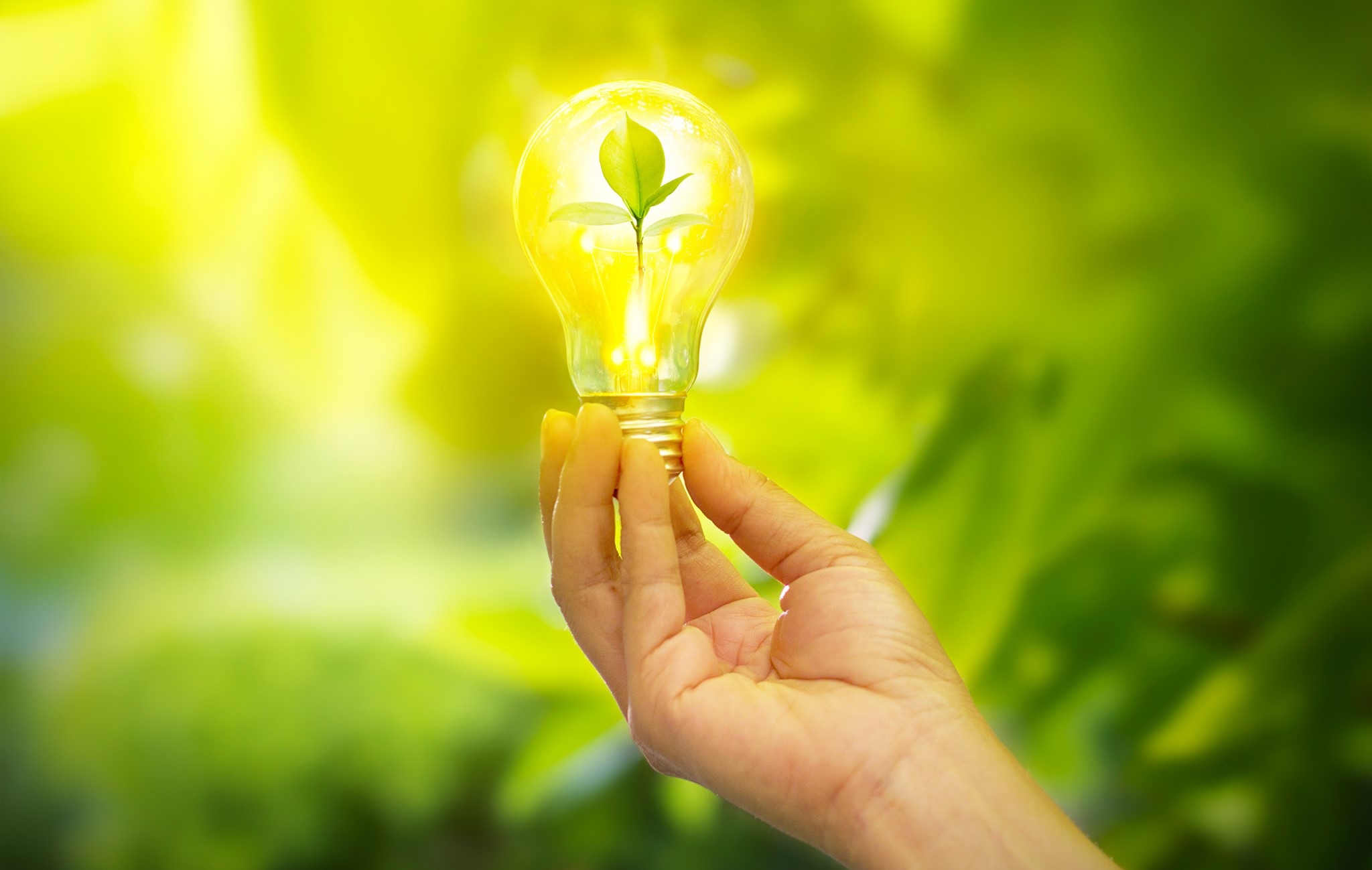 Emissions and climate change, waste and recycling - Annual report 2021